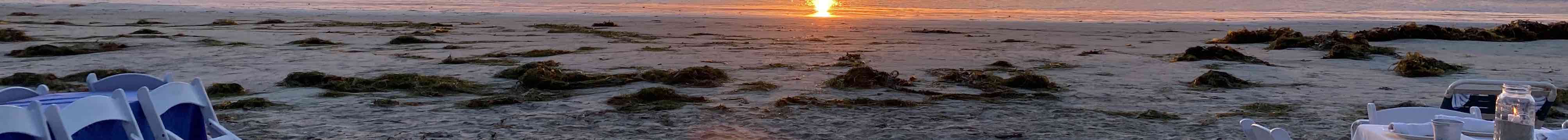 About – Stephen Metcalfe